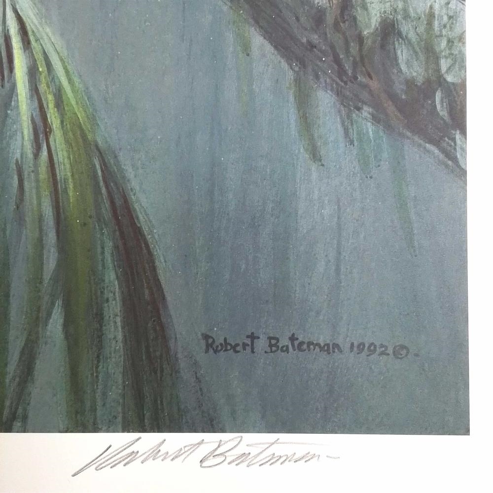 Robert McLellan Bateman | Shadow of the Rainforest | MutualArt