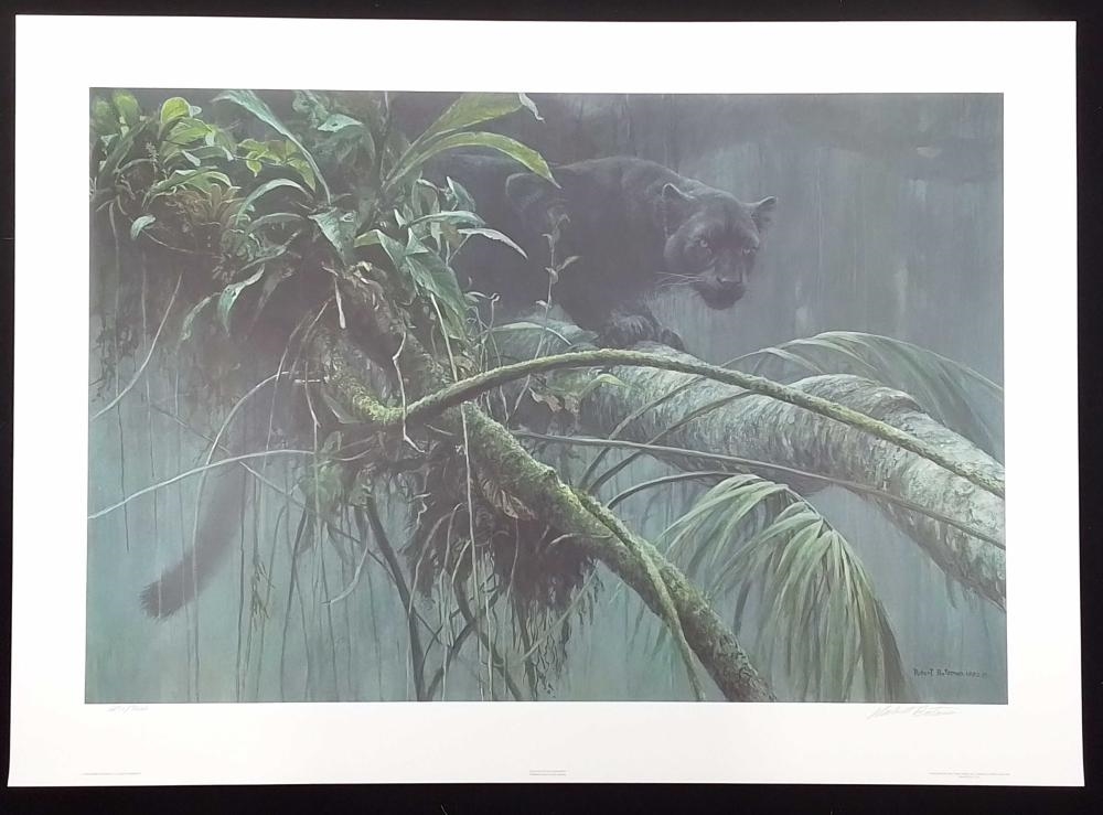 Robert McLellan Bateman | Shadow of the Rainforest | MutualArt