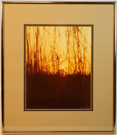 Robert Spann | 2 Artworks at Auction | MutualArt