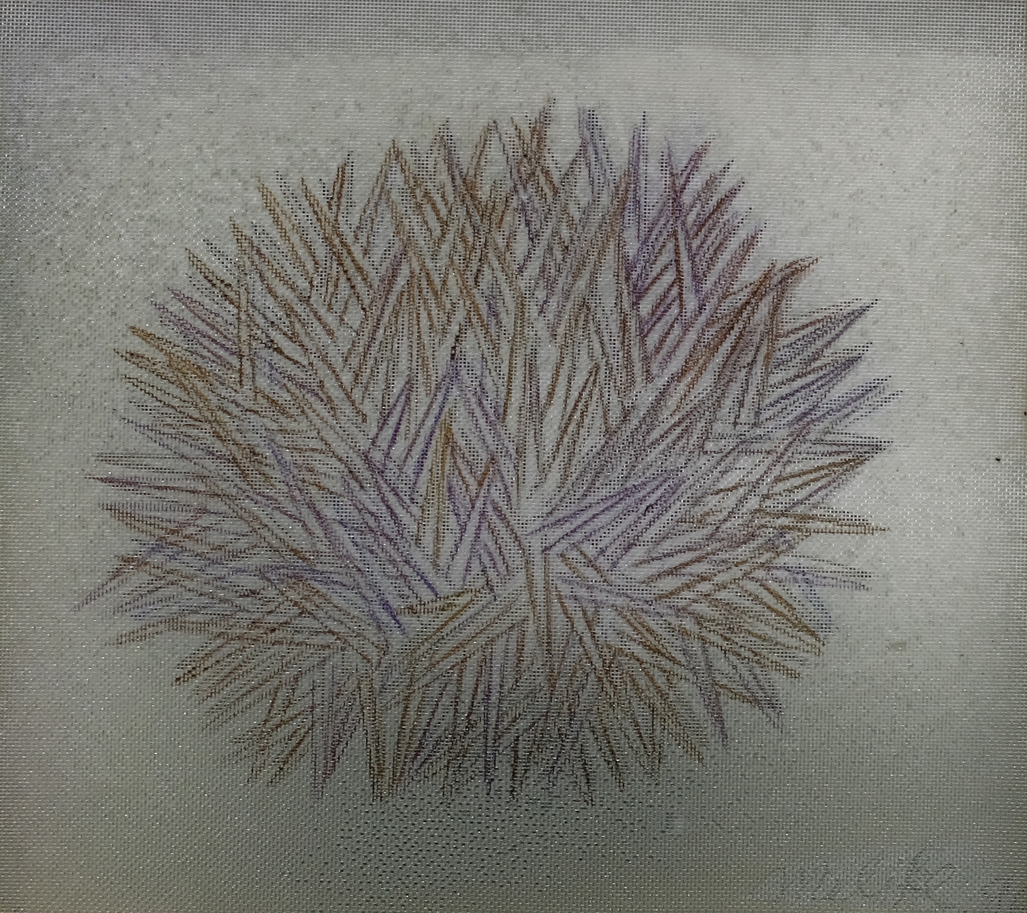 Melike Abasiyanik Kurtiç | Untitled | MutualArt