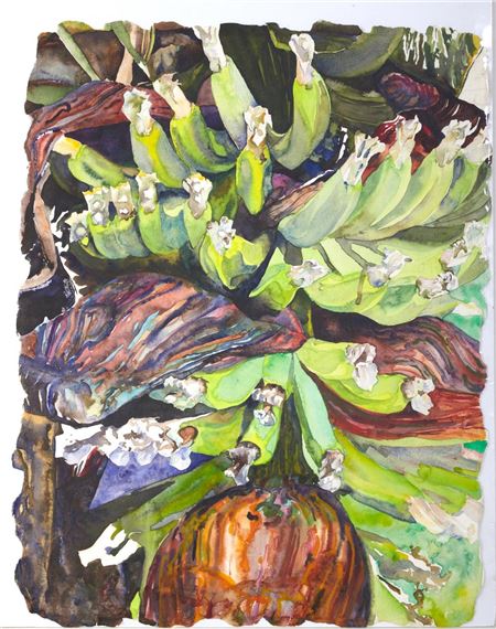 Janice Cartier | Banana Plant | MutualArt