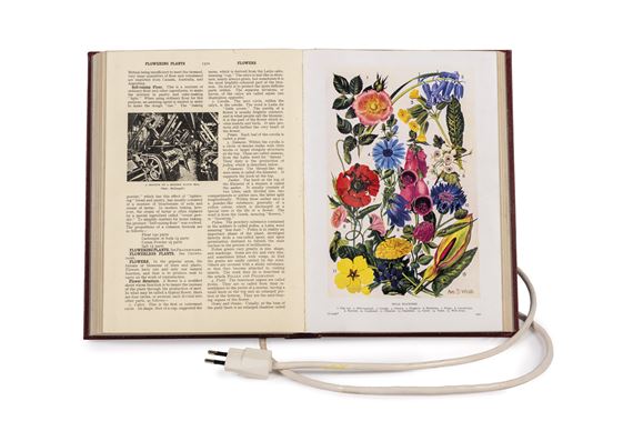 Ian Carr-Harris | Flowering (1997) | MutualArt