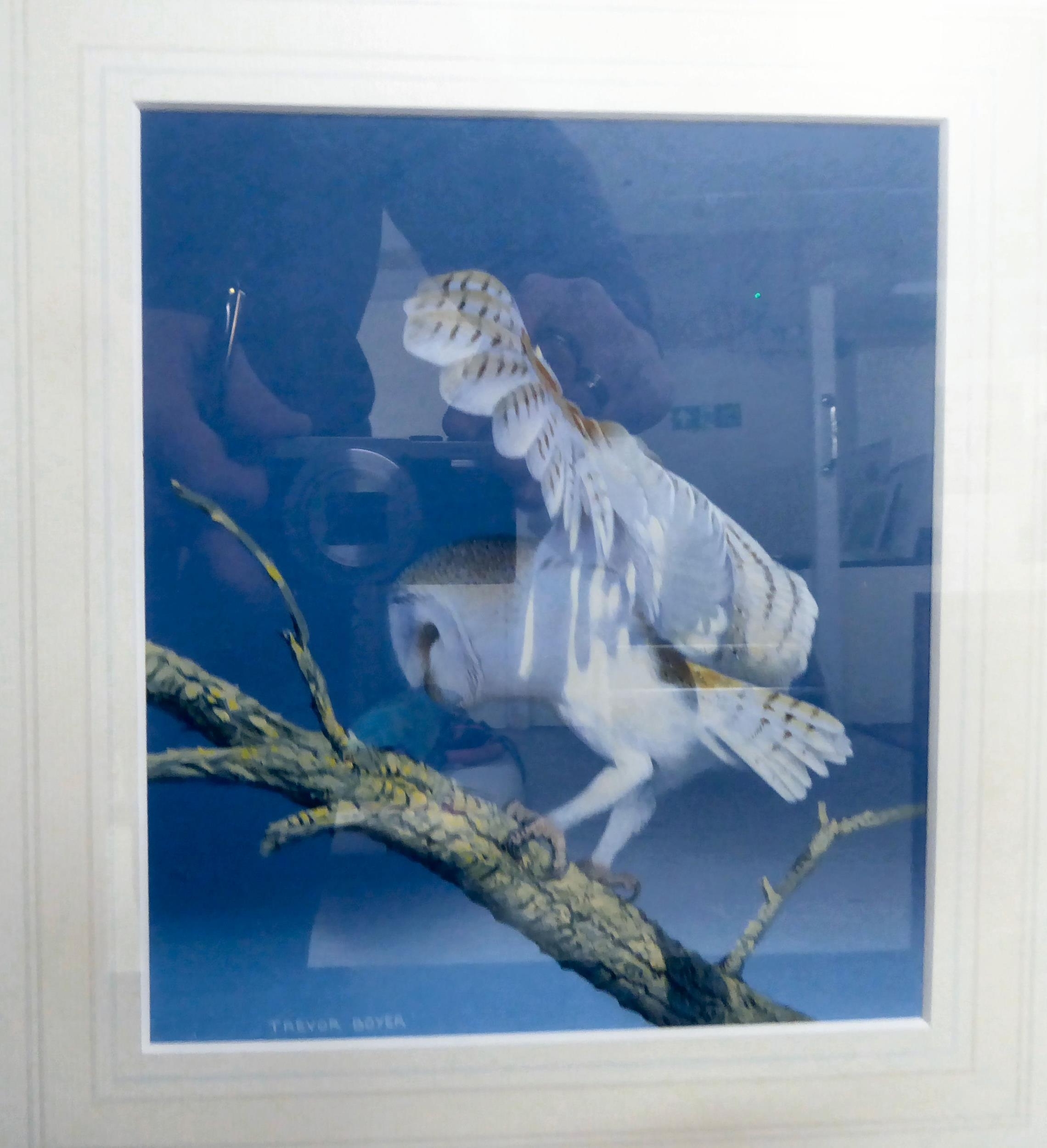 Trevor Boyer | Barn Owl | MutualArt