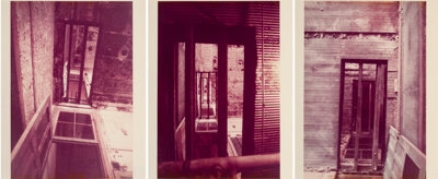 Gordon Matta-Clark | Untitled (Tree Forms) | MutualArt