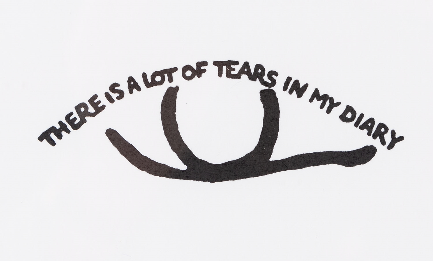 Agata Bogacka | There is a lot of tears in my diary (2012) | MutualArt