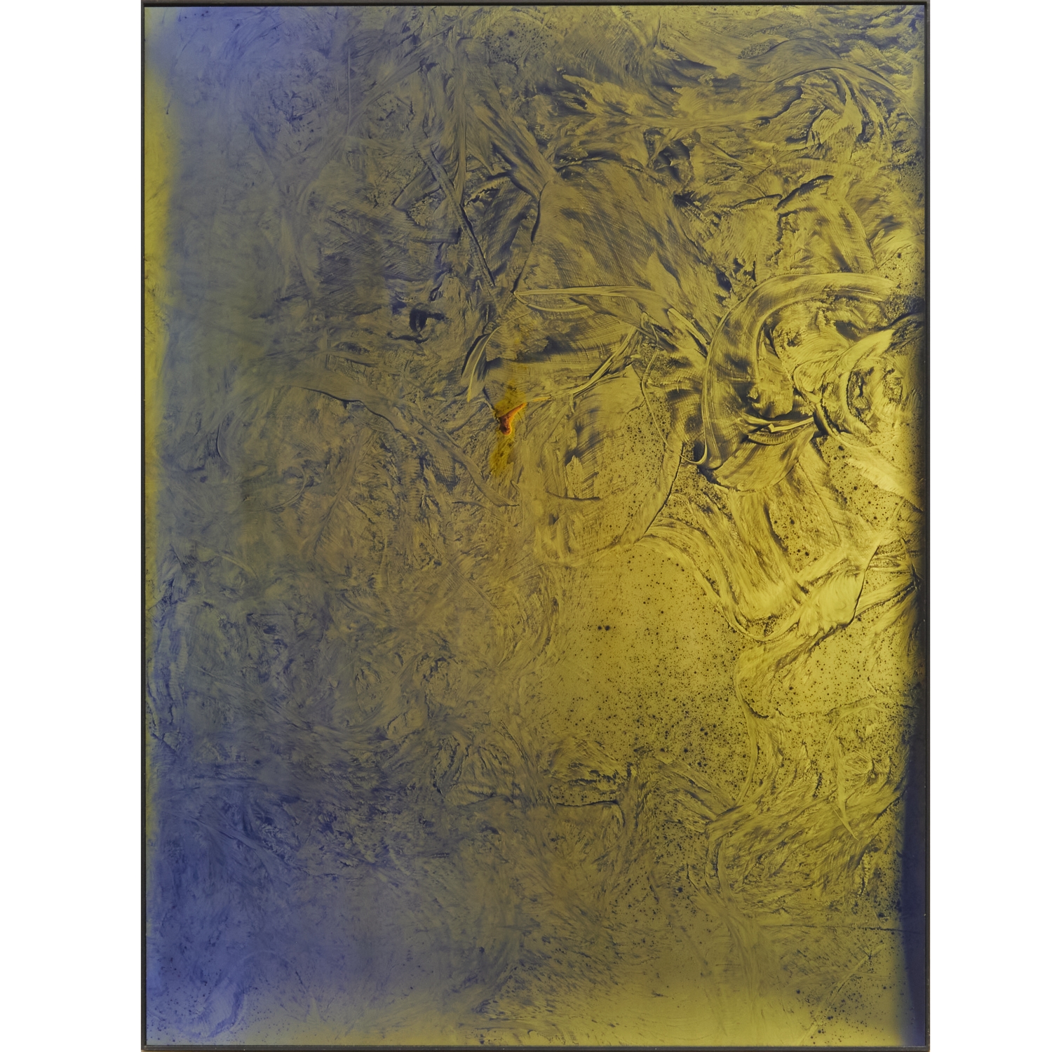 Adam Fuss | Untitled (Large Flowers, Plants) (1994) | MutualArt