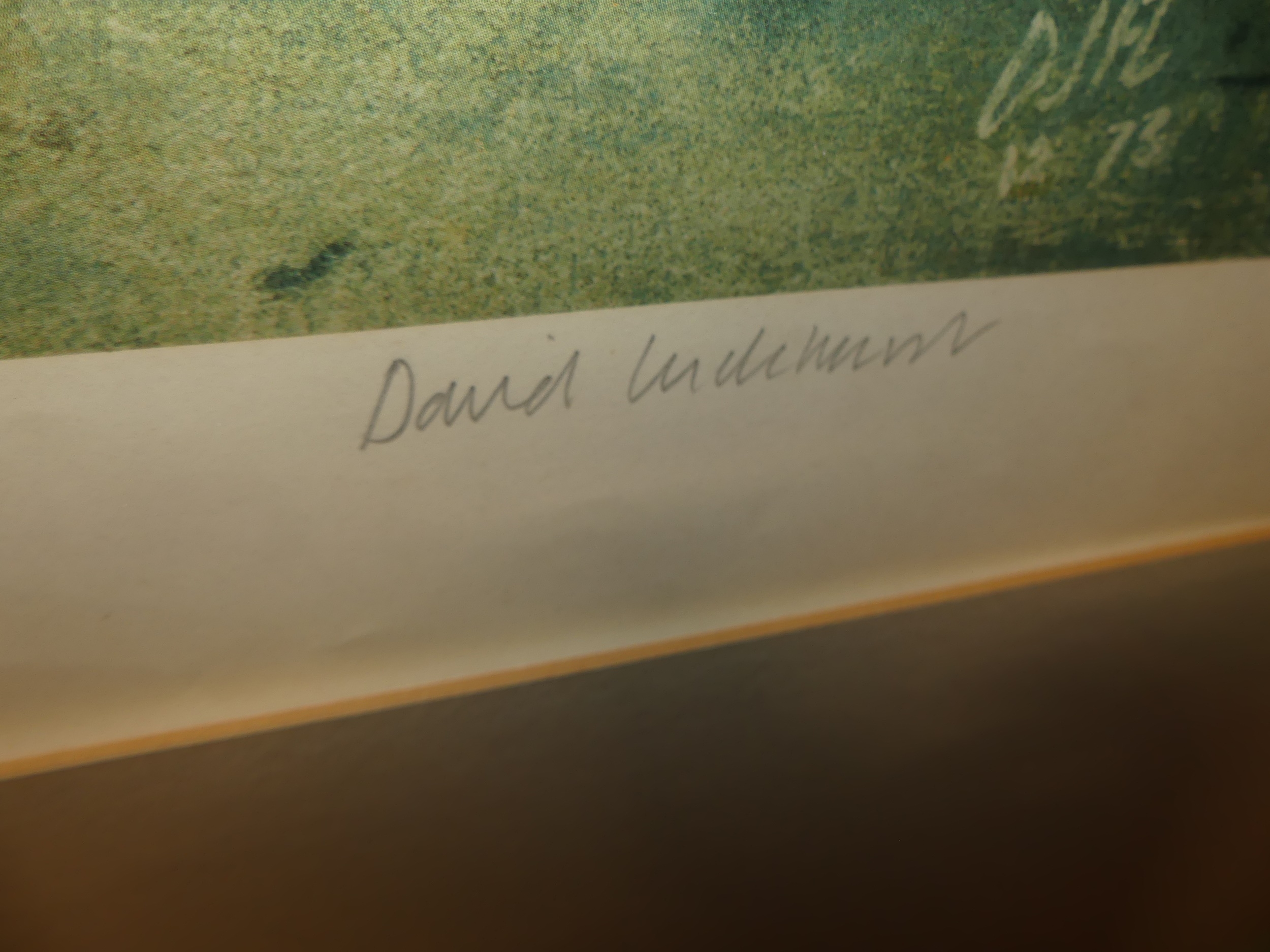 David Luckhurst | Assault of Shap | MutualArt