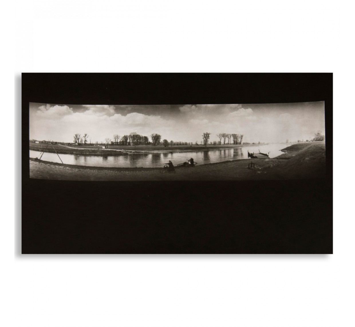 Josef Sudek | Sans titre. La forêt de Mionsi 13ème version | MutualArt