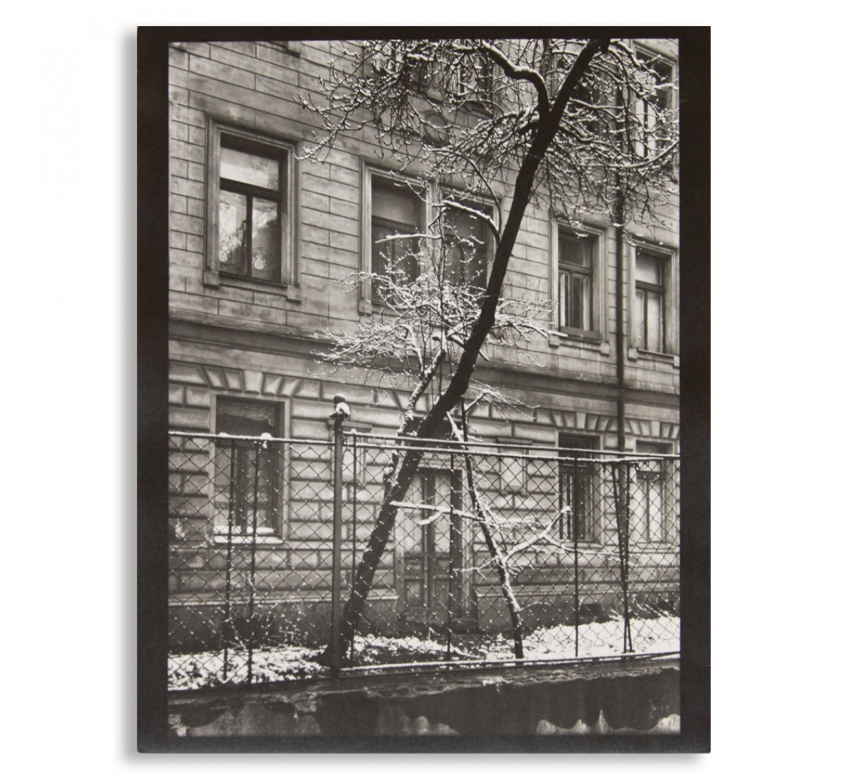 Josef Sudek | Sans titre. La forêt de Mionsi 13ème version | MutualArt