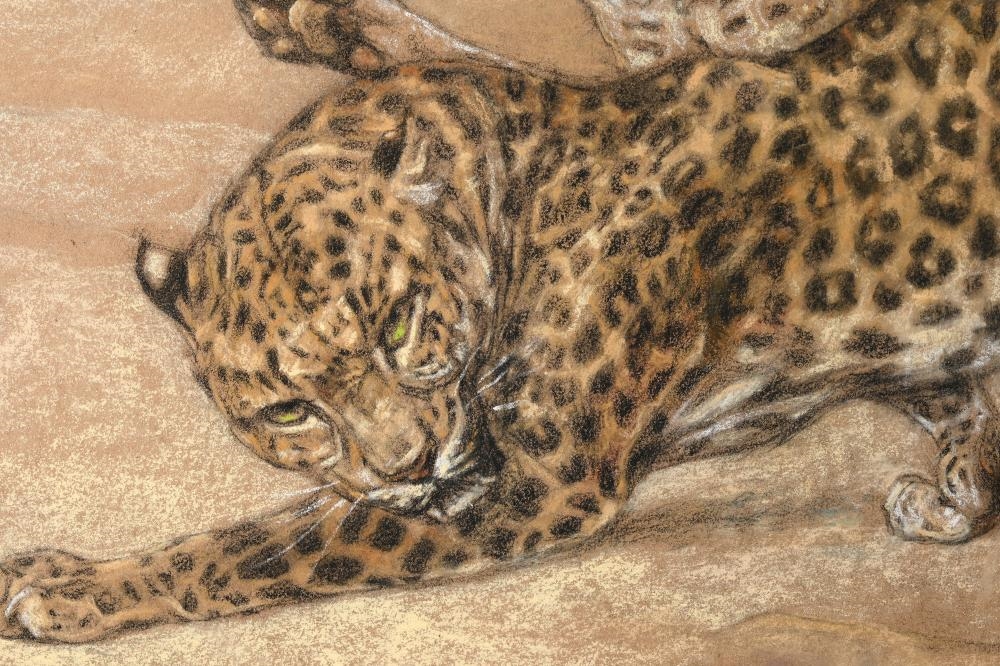 Herbert van der Poll | Two leopards | MutualArt