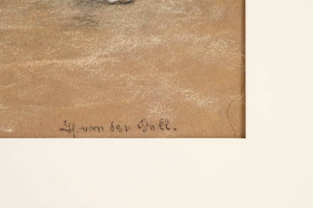 Herbert van der Poll | Two leopards | MutualArt