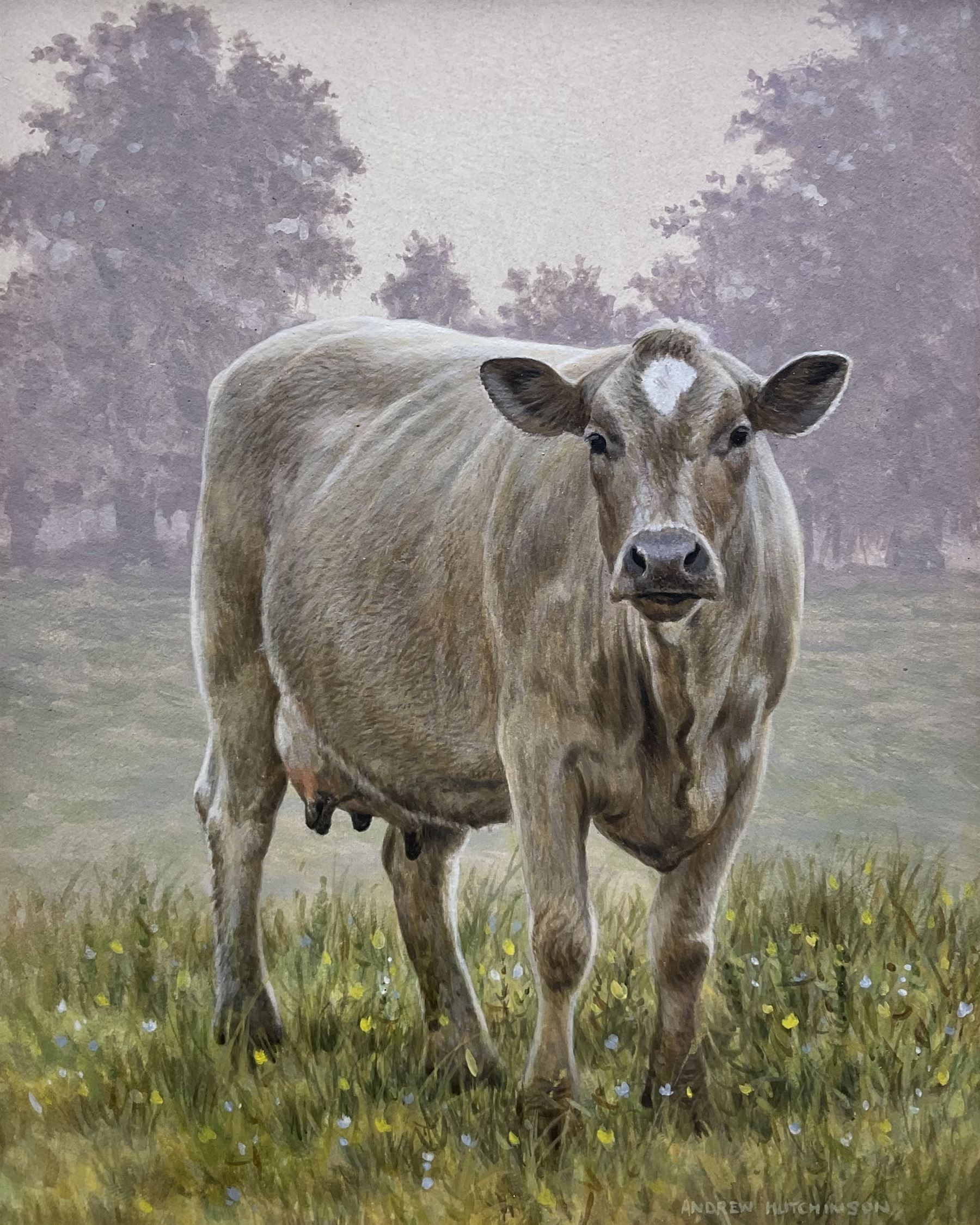 Andrew Hutchinson | Cow Study | MutualArt