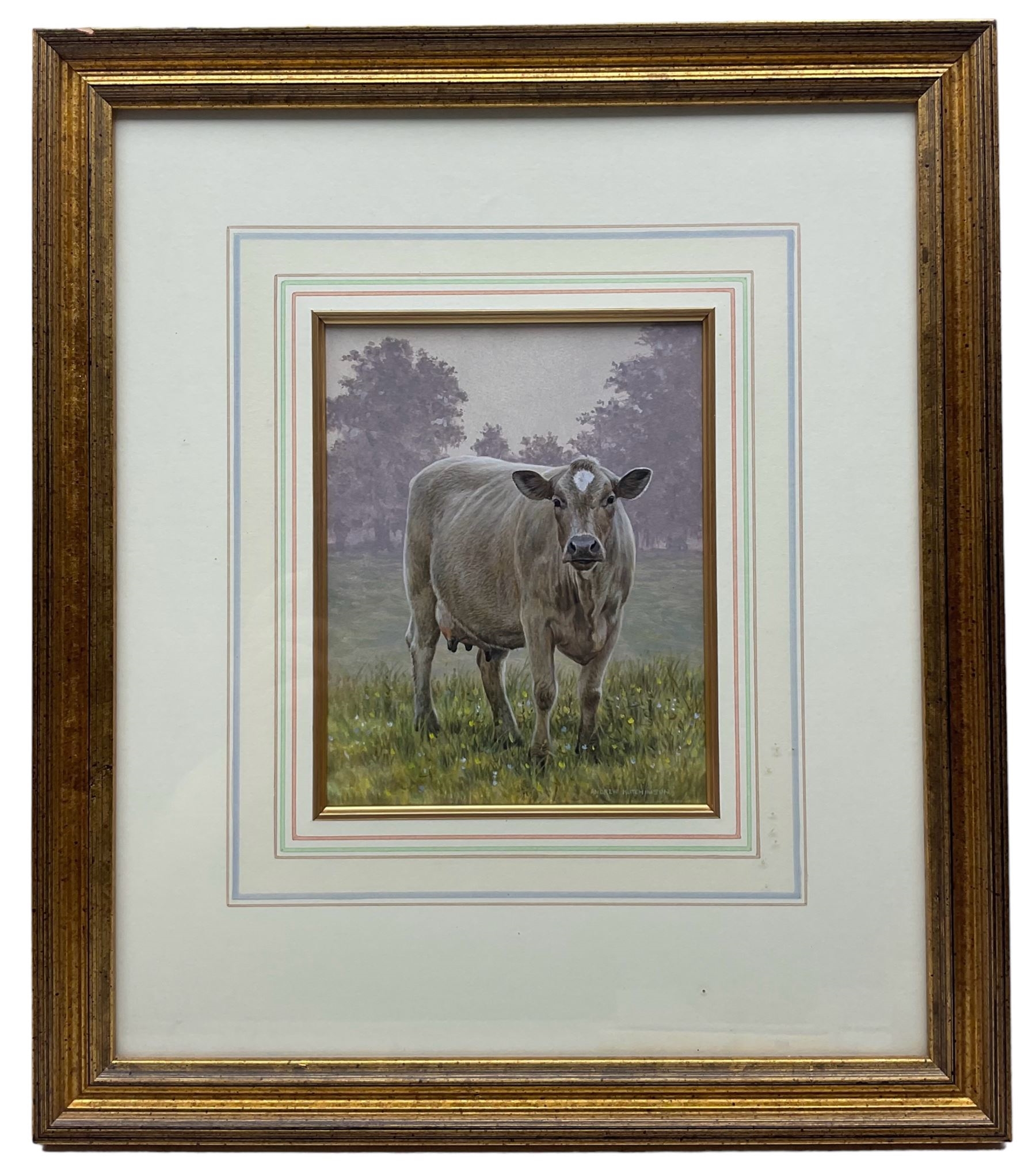 Andrew Hutchinson | Cow Study | MutualArt