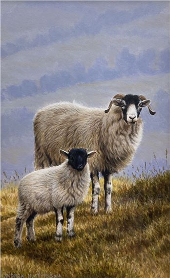 Andrew Hutchinson | Swaledale Sheep with Lamb | MutualArt