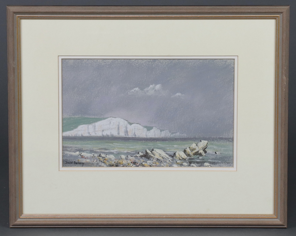 David Bellamy | Seven Sisters Sussex | MutualArt
