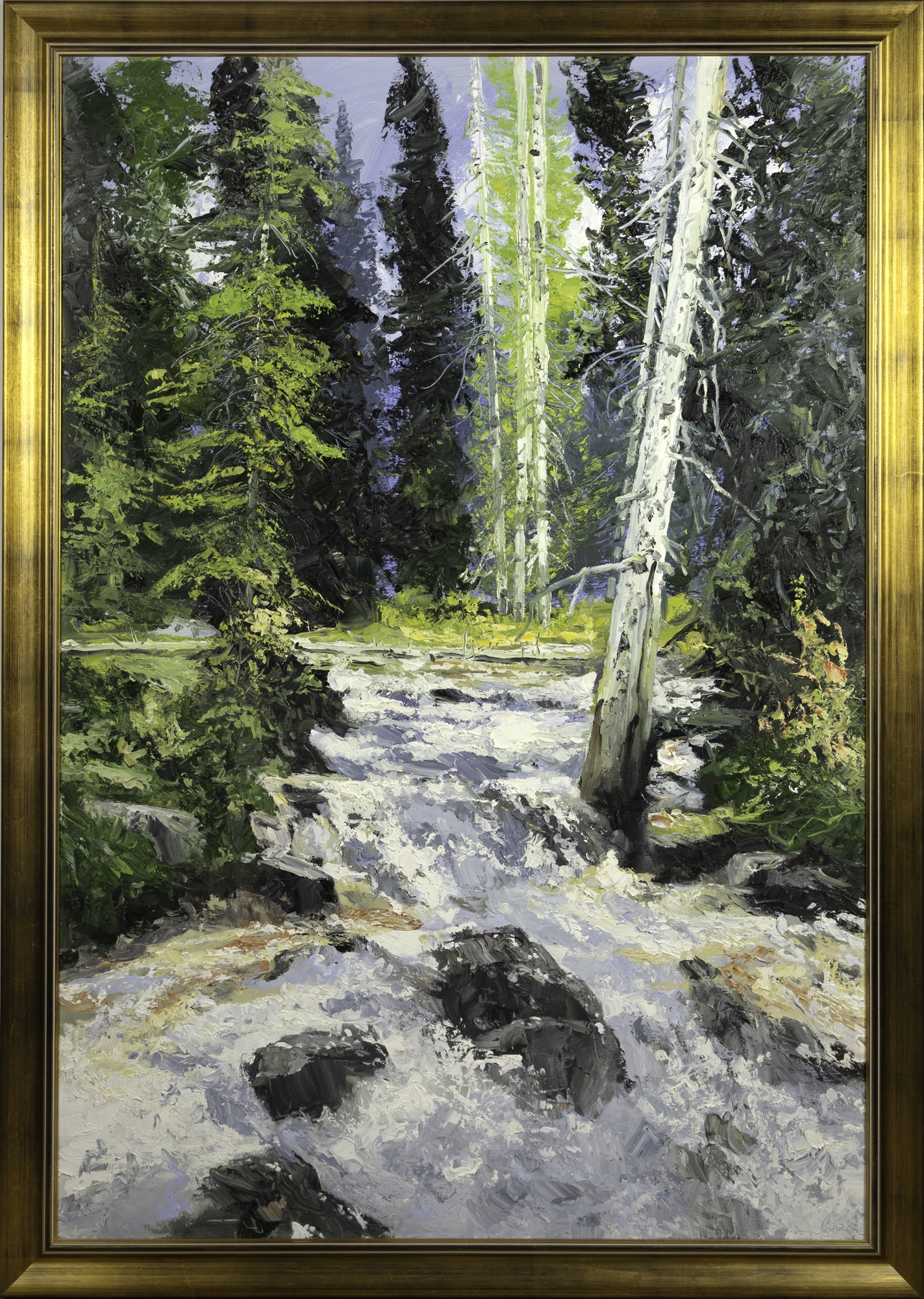 James Cook | James Pringle Cook (1947- ), Sawtooth - Freshet | MutualArt