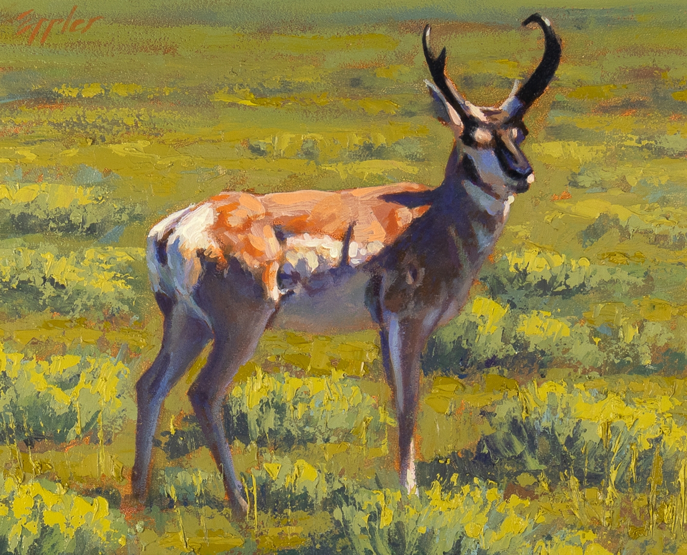 Jim Eppler | ), Sand Flats | MutualArt