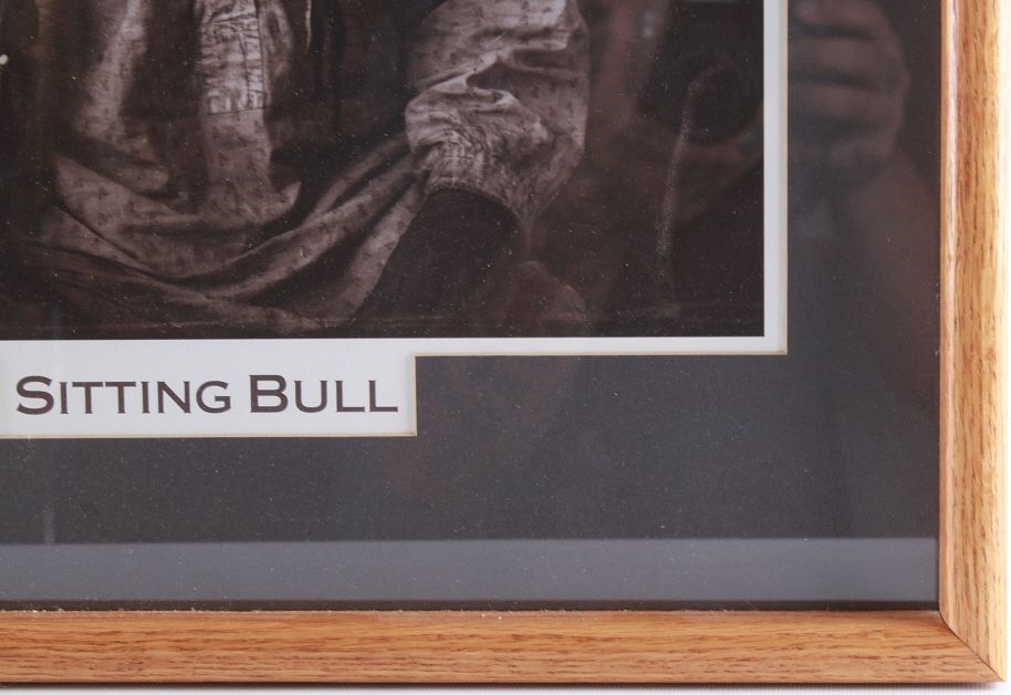 David F. Barry | D. F. Barry Photograph of Sitting Bull | MutualArt