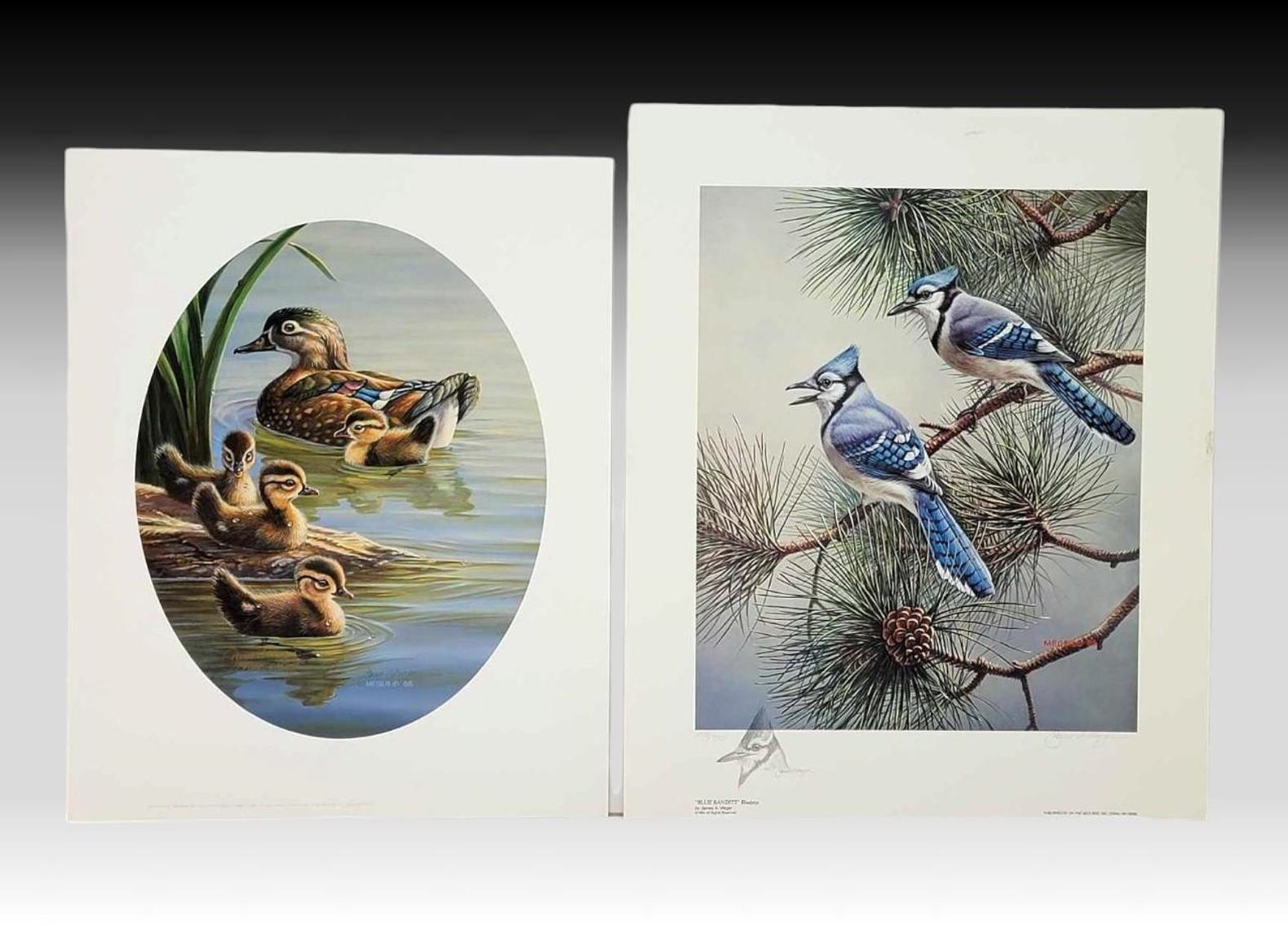 James Meger | Wildlife | MutualArt