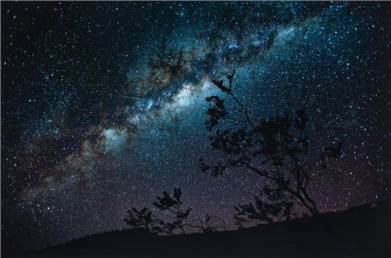 Greg Weight | Canopy of Stars, 2008 (2008) | MutualArt