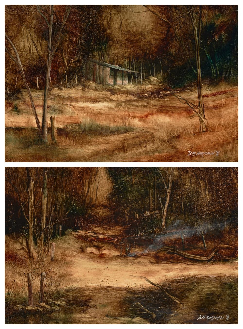 David Hallmann | Bush Hut & Boil the Billy | MutualArt