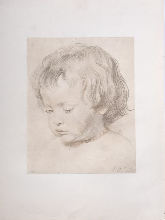 Peter Paul Rubens | Portrait of the artist's son Nicholas - Colour ...