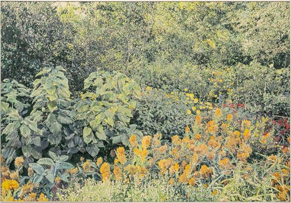 William Nichols | W 77 (2013) | MutualArt