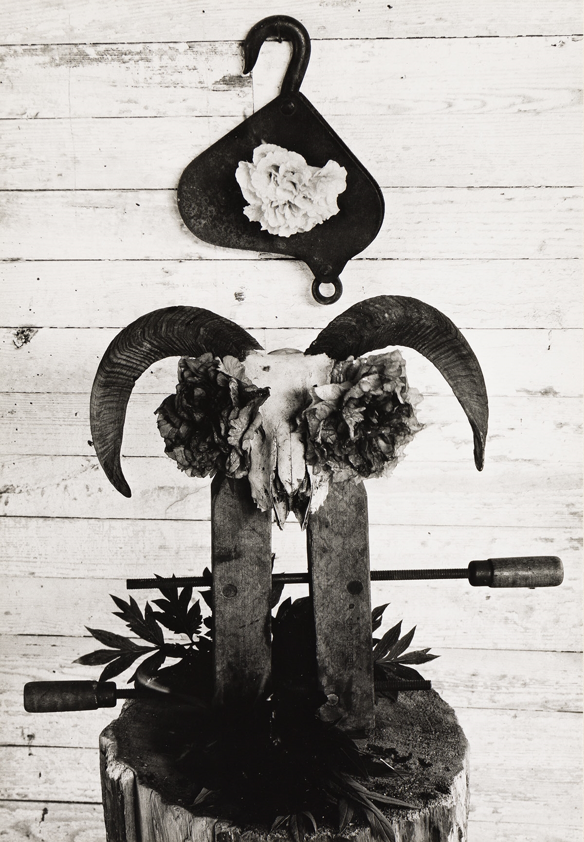 Minor White | Portland, Oregon | MutualArt