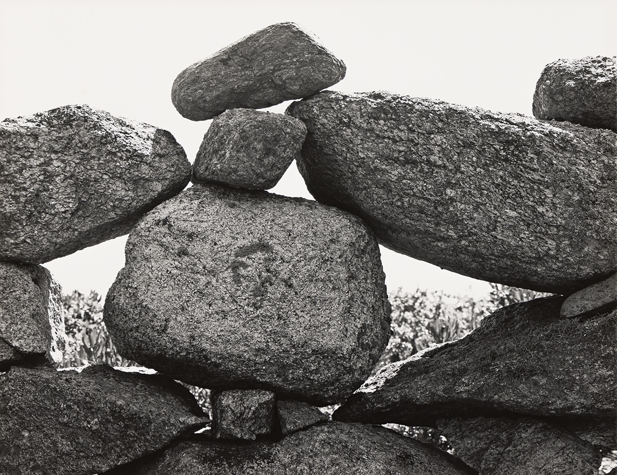Aaron Siskind | Martha's Vineyard (1954) | MutualArt