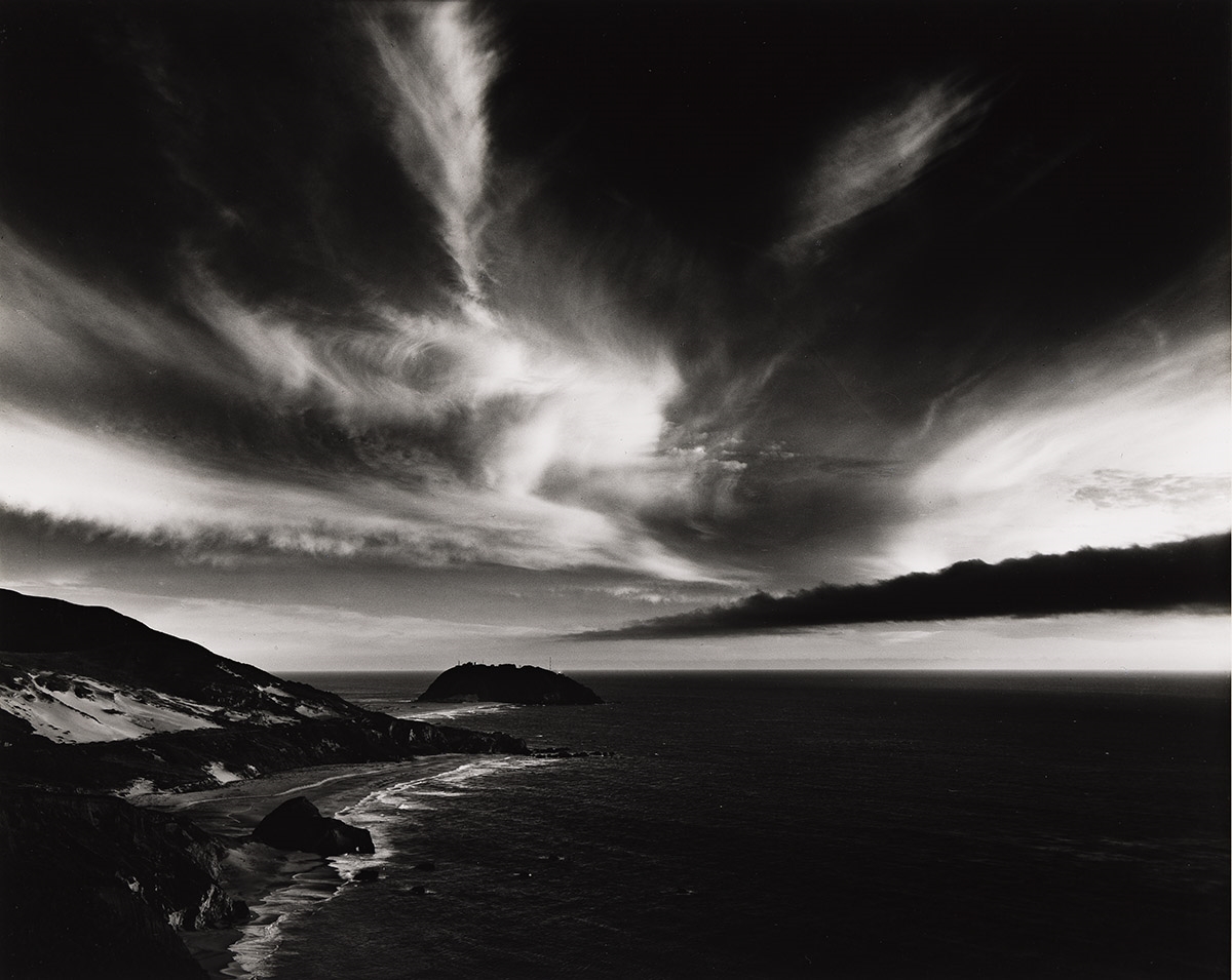 Brett Weston | Plant from Baja California; Baja California Portfolio ...