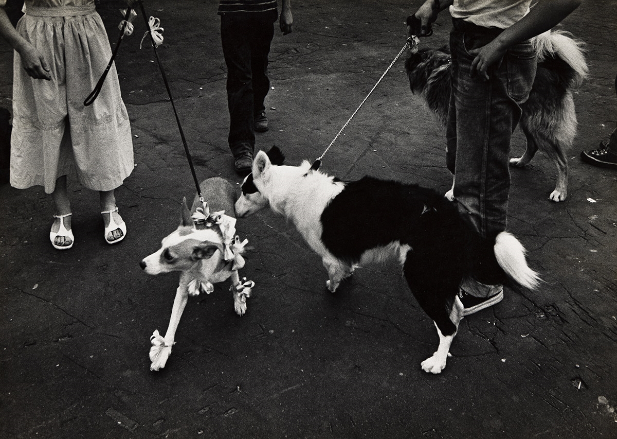 W. Eugene Smith | W. EUGENE SMITH (1918-1978 (1955 - 1957) | MutualArt