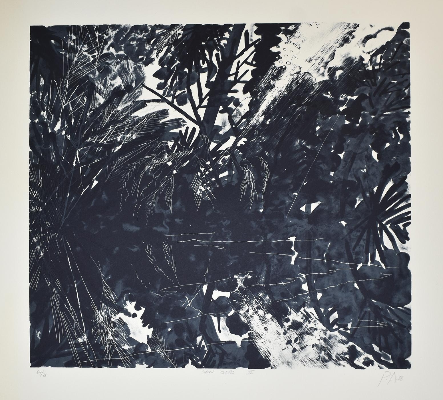 Peter Alexander | San Blas II (2008) | MutualArt