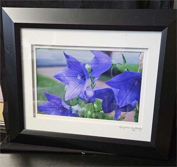 Maryalice Mullally | Purple Bill Flowers | MutualArt