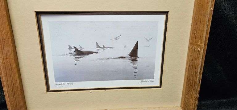 Bruce Muir | Domain of the Orca Masters of the Inlet Blackfish Sound ...