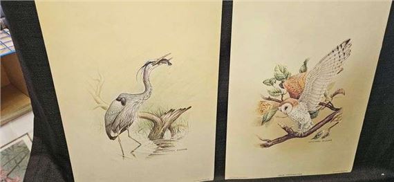 Michael Dumas | Collection of Nature Prints | MutualArt