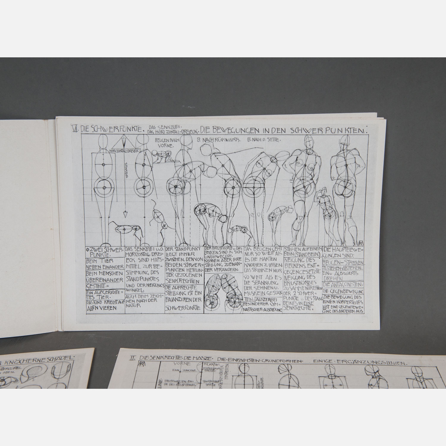 Alexander Rothaug | perspectives of drawings - the human body. Printed ...