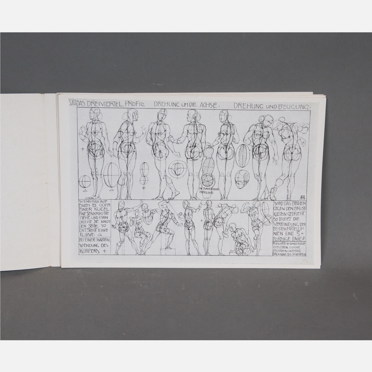 Alexander Rothaug | perspectives of drawings - the human body. Printed ...