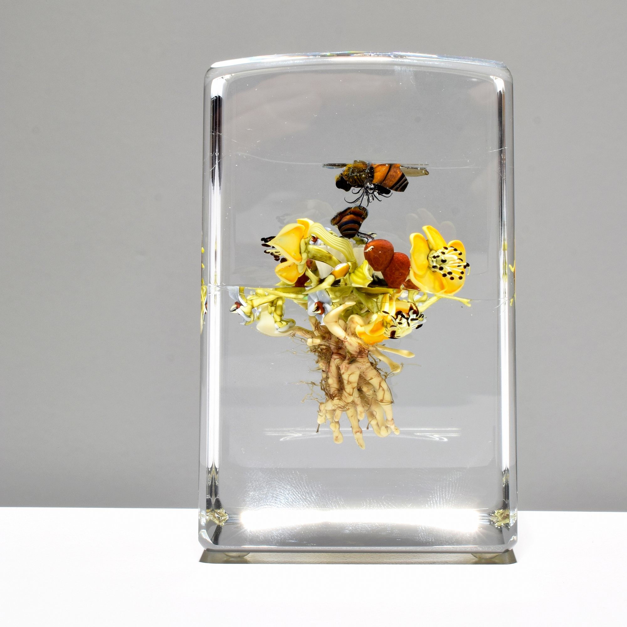 Paul Stankard | Paul Stankard Botanical / Root People Paperweight ...