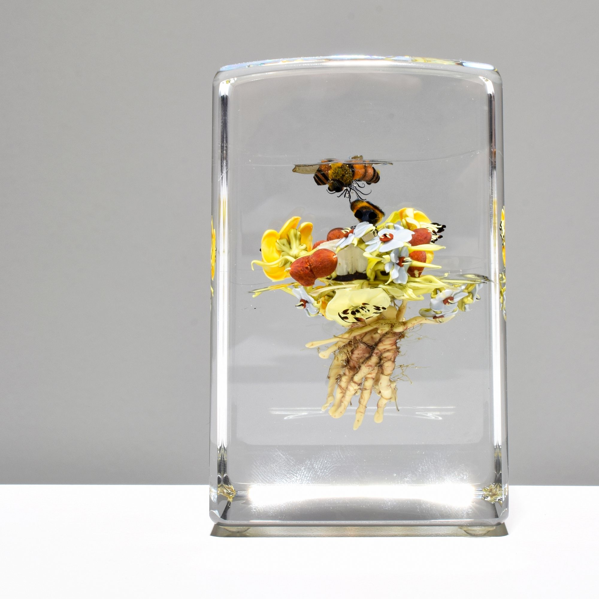 Paul Stankard | Paul Stankard Botanical / Root People Paperweight ...