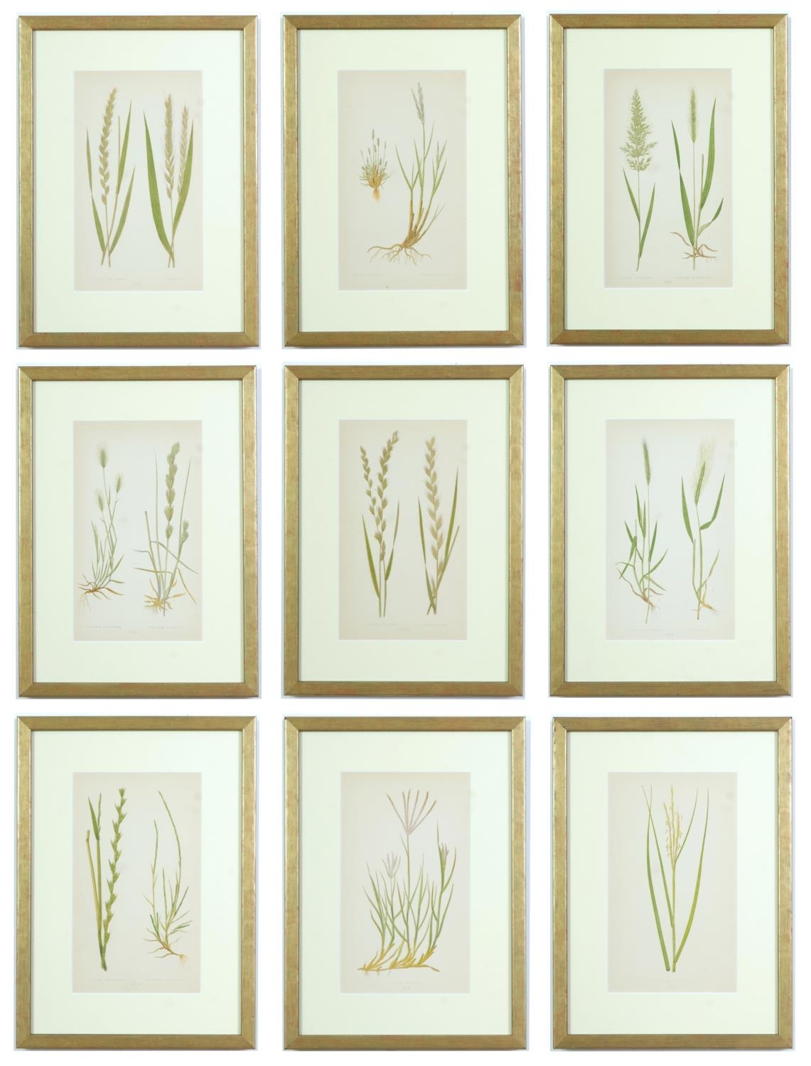 Edward Joseph Lowe | Grasses | MutualArt