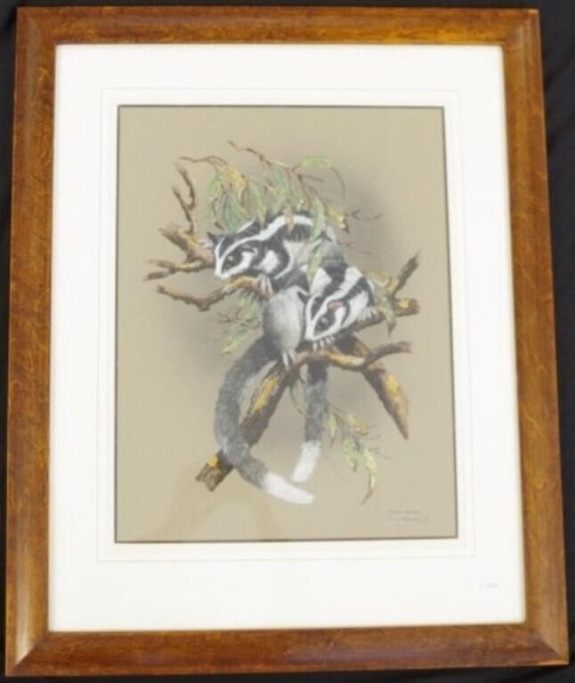 Paul Margocsy | Striped Possums | MutualArt