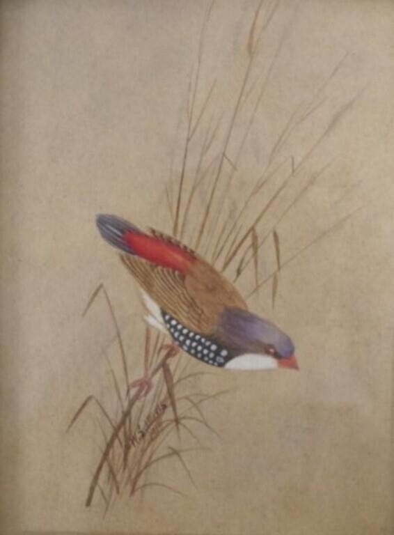 W. S. Lewis | Birds | MutualArt