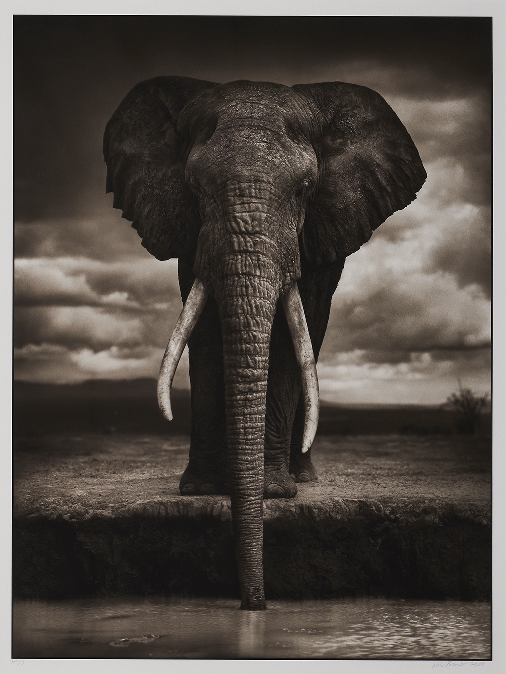 Nick Brandt | Elephant with exploding dust, Amboseli (2004) | MutualArt