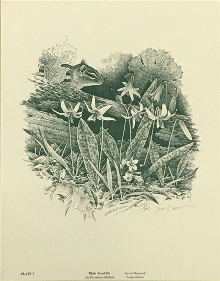 Jim Glover | Jim Glover Engraving, White Trout Lily (1958 - 2000 ...