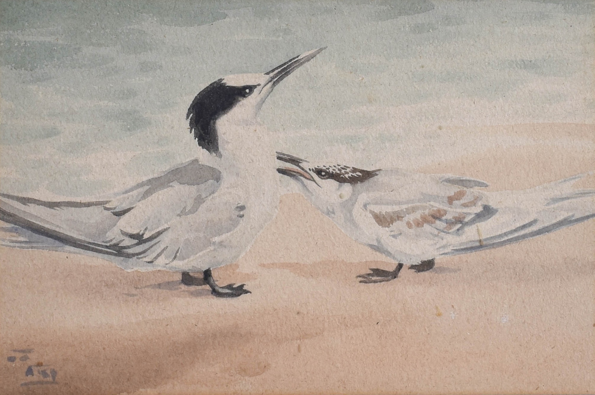Richard Barrett Talbot Kelly | Sandwich Terns | MutualArt