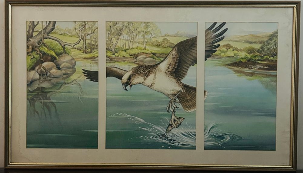 Charles Newman | Original Charles Newman - Hawk Grabbing Lunch ...