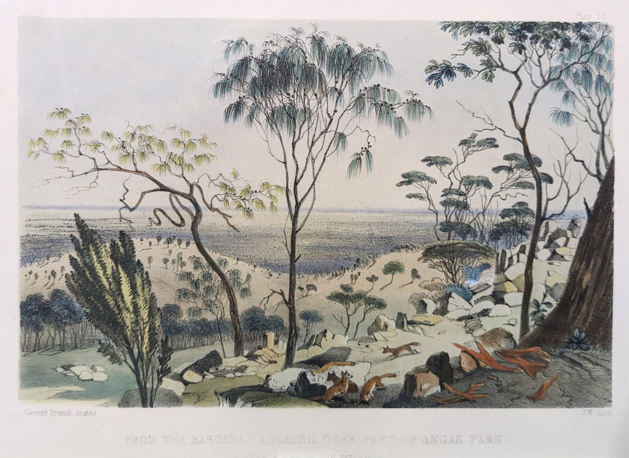 George French Angas | GEORGE FRENCH ANGAS | MutualArt