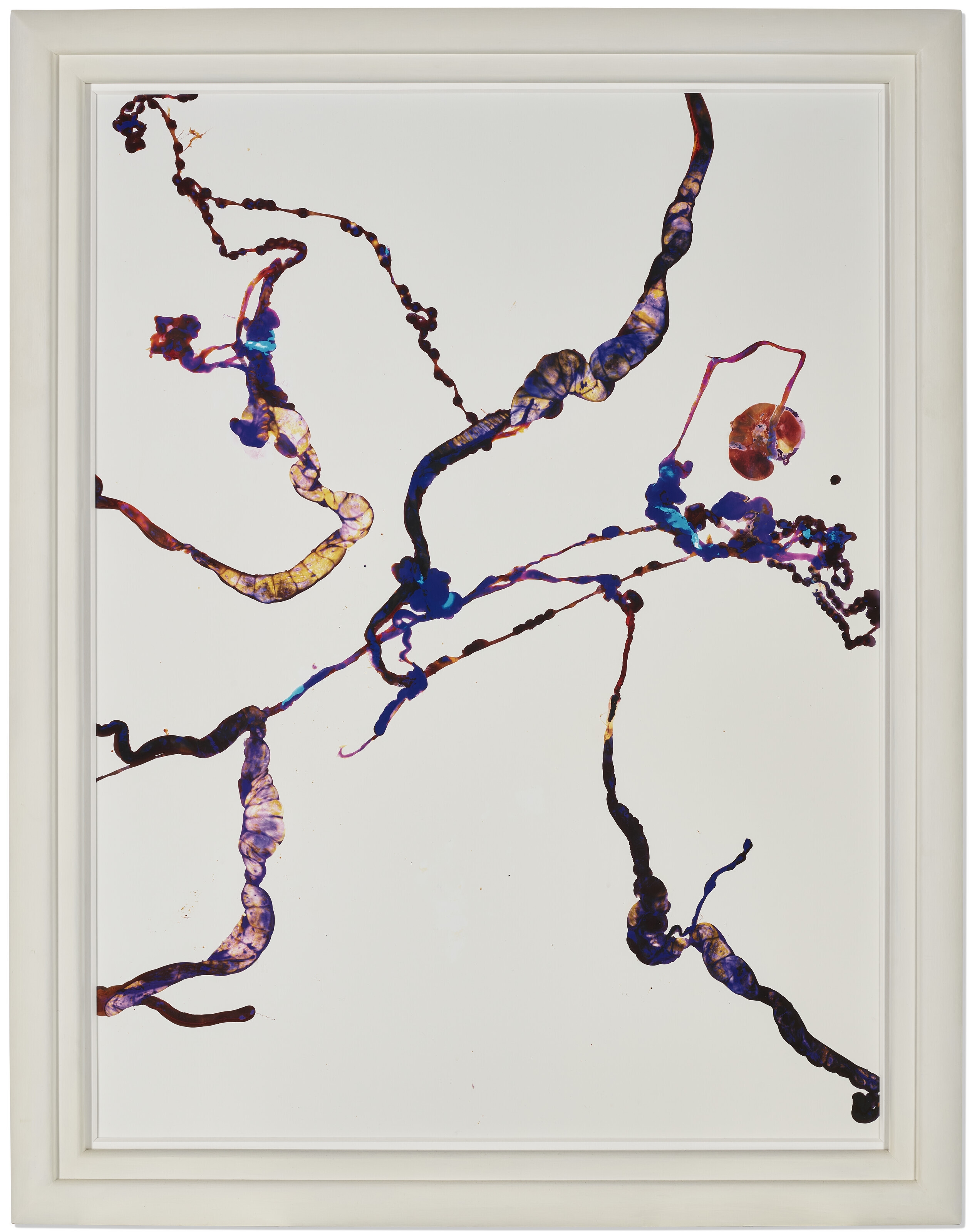 Adam Fuss | Untitled (Entrails) (1993) | MutualArt