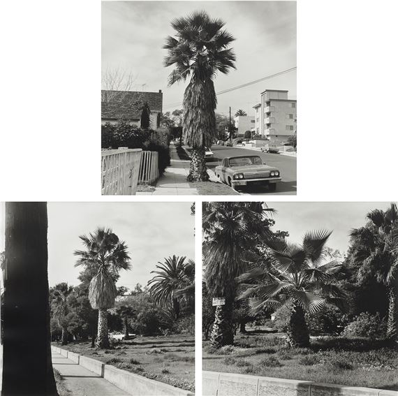 Ed Ruscha | Palm Trees | MutualArt