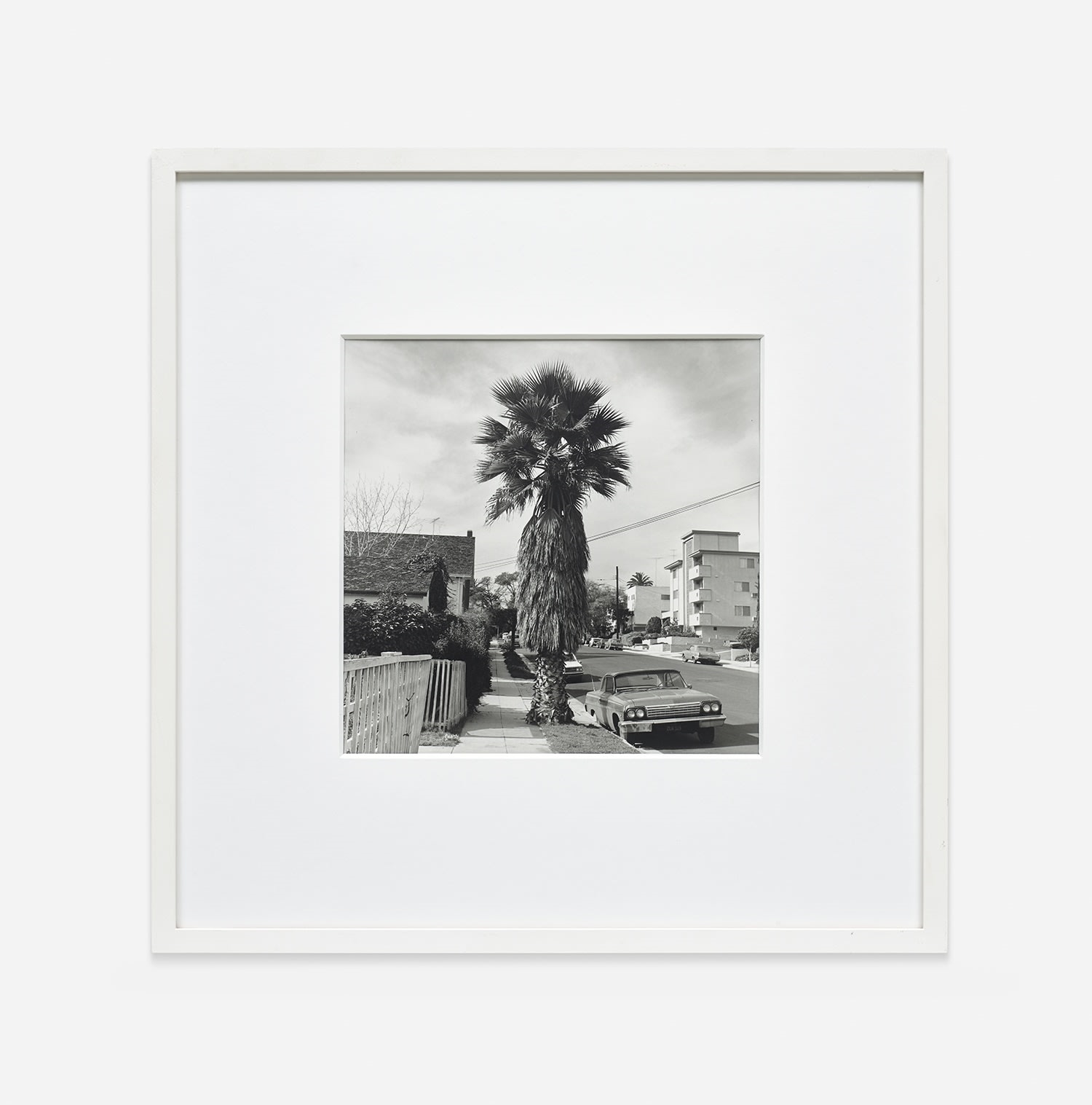 Ed Ruscha | Palm Trees | MutualArt